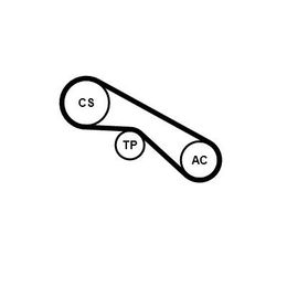 CONTINENTAL CTAM Keilrippenriemensatz 5PK875K1 f&uuml;r LAND ROVER MG PQG100340 PQS101310 PQG100210