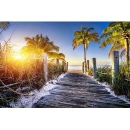 Fototapete papermoon "Strand mit Palmen", bunt, B:3m L:2,23m, Vlies, Tapeten