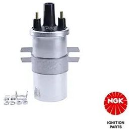 NGK Z&uuml;ndspule 48302 2-polig f&uuml;r SKODA VW SEAT MINI AUDI LAMBORGHINI FORD BENTLEY BMW 1357294 5006103 A710X-12K018-AA
