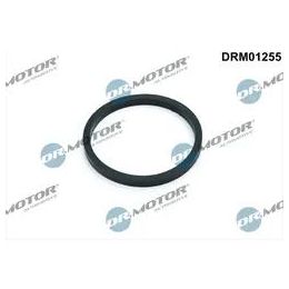 DR.MOTOR AUTOMOTIVE Dichtung, &Ouml;lk&uuml;hler DRM01255 Unten 62,8mm f&uuml;r SKODA VW SEAT AUDI 038117070