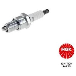 NGK Z&uuml;ndkerze 6464 f&uuml;r MITSUBISHI INFINITI MG DAIHATSU NISSAN ROVER MS851126 22401-21B16 99906-910P9-020