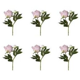 Kunstblume Creativ green "Peonie", rosa, H:46cm, Obermaterial: 80% Polyester, 20% Polyethylen, Kunstpflanzen