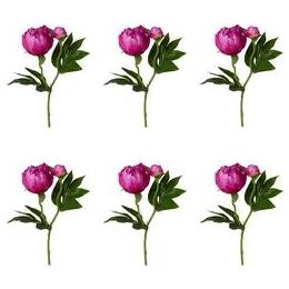 Kunstblume Creativ green "Peonie", pink, H:46cm, Obermaterial: 80% Polyester, 20% Polyethylen, Kunstpflanzen