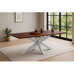 Baumkantentisch ROXANA / 200x100 / Spider-Gestell Silber