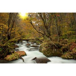 Fototapete papermoon "WALD-NATUR B&Auml;UME WASSERFALL DSCHUNGEL HERBSTLANDSCHAFT", bunt, B:3m L:2,23m, Vlies, Tapeten
