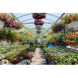 Fototapete papermoon "Wintergarten", bunt, B:3m L:2,23m, Vlies, Tapeten