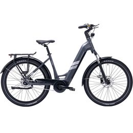 Z&uuml;ndapp E-Bike Z&Uuml;NDAPP "X885" Gr. 48, anthrazit, Elektrofahrr&auml;der, 48cm, 27,5 Zoll (69,85cm)