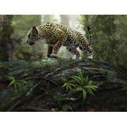 Fototapete papermoon "Jaguar on the Prowl", bunt, B:3m L:2,23m, Vlies, Tapeten