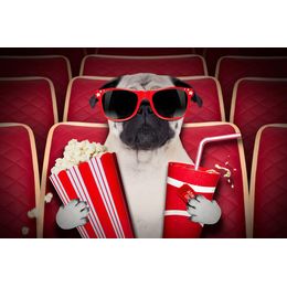 Fototapete papermoon "Hund im Kino", bunt, B:3m L:2,23m, Vlies, Tapeten
