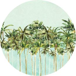 Fototapete Komar "Vlies selbstklebend - Coconut Trees - Gr&ouml;&szlig;e 125 x 125 cm", gr&uuml;n (gr&uuml;n, blau), B:125m L:125m, Vlies, Tapeten, Wohnzimmer, Schlafzimmer