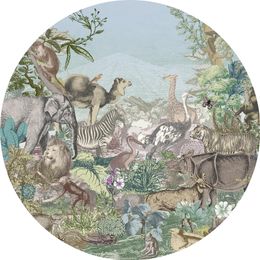 Fototapete Komar "Vlies selbstklebend - Animal Kingdom - Gr&ouml;&szlig;e 125 x 125 cm", bunt, B:125m L:125m, Vlies, Tapeten, Wohnzimmer, Schlafzimmer