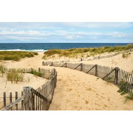Fototapete papermoon "Cape Cod D&uuml;nen", bunt, B:3m L:2,23m, Vlies, Tapeten