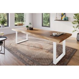 Baumkantentisch ATLAS 260 / Akazie naturfarben / 260x100 / U-Gestell Wei&szlig;
