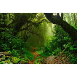 Fototapete papermoon "TROPISCHER WALD- DSCHUNGEL", bunt, B:3m L:2,23m, Vlies, Tapeten