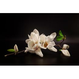 Fototapete papermoon "Photo-Art TONY08, MAGNOLIE", bunt, B:3m L:2,23m, Vlies, Tapeten