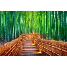 Fototapete papermoon "BAMBUS-WALD-KYOTO", bunt, B:3m L:2,23m, Vlies, Tapeten
