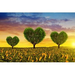 Fototapete papermoon "Herz B&uuml;me in Blumenfeld", bunt, B:3m L:2,23m, Vlies, Tapeten