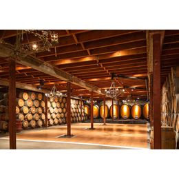 Fototapete papermoon "Napa Valley Wein", bunt, B:3m L:2,23m, Vlies, Tapeten