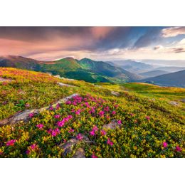 Fototapete papermoon "BLUMEN-NATUR LANDSCHAFT BERGE GEBIRGE ALPEN LAVENDEL", bunt, B:3m L:2,23m, Vlies, Tapeten
