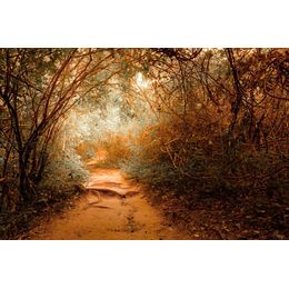 Fototapete papermoon "Tropischer Dschungel", bunt, B:3m L:2,23m, Vlies, Tapeten
