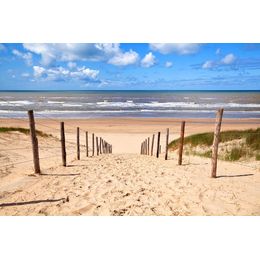 Fototapete papermoon "Weg zum Sandstrand", bunt, B:3m L:2,23m, Vlies, Tapeten
