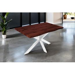 Esstisch JOSY / nussbaumfarben / 120x80 / Spider-Gestell Wei&szlig;