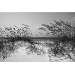Fototapete papermoon "Strand Schwarz & Wei&szlig;", schwarz (schwarz, wei&szlig;), B:3m L:2,23m, Vlies, Tapeten