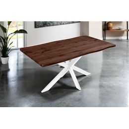 Esstisch JOSY / nussbaumfarben / 160x85 / Spider-Gestell Wei&szlig;