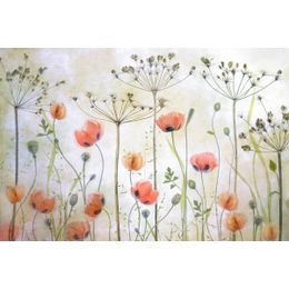 Fototapete papermoon "Photo-Art MANDY DISHER, MOHNWIESE", bunt, B:3m L:2,23m, Vlies, Tapeten