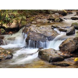 Fototapete papermoon "WASSERFALL-B&Auml;UME FLUSS SEE STEINE BLUME WALD BACH SONNE", bunt, B:3m L:2,23m, Vlies, Tapeten