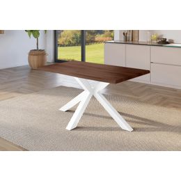 Esstisch Julius / Holz Nussbaum-Optik / 140x80 / Spider-Gestell Wei&szlig;