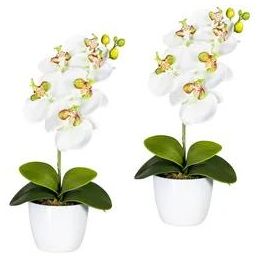Kunstpflanze Creativ green "Orchidee Phalaenopsis", gr&uuml;n (wei&szlig;, gr&uuml;n), H:40cm, Kunststoff, Polyester, Kunstpflanzen, Kunstpflanze, im Keramiktopf