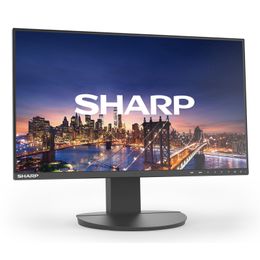 NEC Sharp MultiSync EA241F Full HD Display 60,96 cm (24")