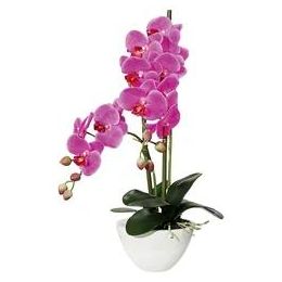 Kunstpflanze Creativ green "Orchidee", lila, B:10cm H:50cm, Kunststoff, Kunstpflanzen, Kunstpflanze