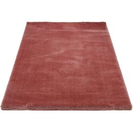 Hochflor-Teppich OCI DIE TEPPICHMARKE "Soft Dream, auch als L&auml;ufer erh&auml;ltlich", rot (rosenholz), B:80cm H:30mm L:250cm, Kunstfaser, Teppiche, Hochflor-Teppich, weich durch Microfaser, Shaggy, Langflor, Wohnzimmer
