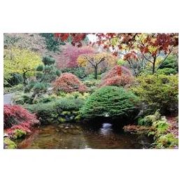 Fototapete papermoon "Teich im Garten", bunt, B:3,5m L:2,6m, Vlies, Tapeten