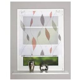 Magnetrollo Home Wohnideen "PAOLO", terra, B:80cm H:130cm, Obermaterial: 100% Polyester, Raffrollos, digital bedruckt