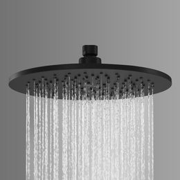 Artiviana Desiderio Kopfbrause &Oslash; 250 mm, R0305250NE,