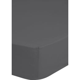 Spannbettlaken HIP "HIP in Gr. 90x200, 140x200 oder 180x200 cm", grau (dunkelgrau), B:140cm L:200cm, Satin, Obermaterial: 100% Baumwolle, Bettlaken, Spannbettlaken, 100% Baumwolle, Mako-Satin, Rundumgummi, bis 25 cm H&ouml;he