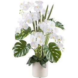 Kunstorchidee Creativ green "Orchidee Phalaenopsis", beige (creme), H:110cm, Kunststoff, Kunstpflanzen, Kunstorchidee, mit Gr&auml;sern und Splitphilo-Bl&auml;ttern