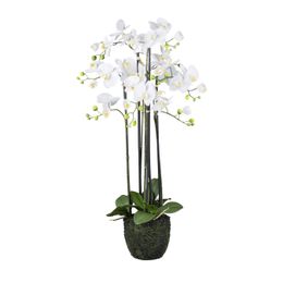 Kunstpflanze Orchideen Gr&uuml;n/Wei&szlig; ca. 93cm