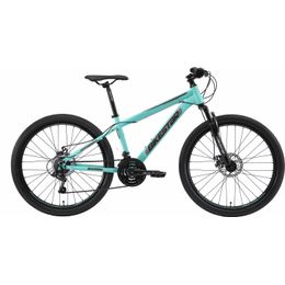 Mountainbike Bikestar Gr. 38, gr&uuml;n, Fahrr&auml;der, 38cm, 26 Zoll (66,04cm), f&uuml;r Damen und Herren, Kettenschaltung