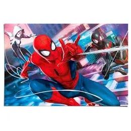 Poster Reinders "Marvel Spiderman - Peter, Miles & Gwen", blau (farbe bild(er): blau), B:91,5cm H:61cm T:0,1cm, Bilder, Poster, Kinderzimmer - Blau - 150 gr. Papier - 91,5x61 cm