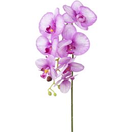 Kunstorchidee Creativ green "Orchidee Phalaenopsis", lila (orchidee), H:76cm, Kunstpflanzen, mit real-touch-Bl&uuml;ten