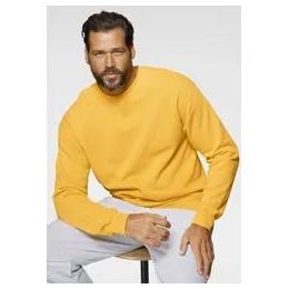 Sweatshirt Fruit of the Loom, Herren, Gr. L (52/54), gelb (sonnengelb), angeraute Sweatware, Obermaterial: 80% Baumwolle, 20% Polyester, schmal h&uuml;ftlang, Rundhals, Rippb&uuml;ndchen, Sweatshirts Sweatshirt, im unifarbenen Design