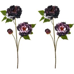 Kunstblume Creativ green "Peonie", aubergine, H:80cm, Polyester, Kunstpflanzen, mit traumhaft sch&ouml;ner Bl&uuml;te