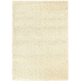 Hochflor-Teppich OCI DIE TEPPICHMARKE "LOBBY SHAGGY", beige (creme), B:200cm H:52mm L:290cm, Polypropylen (PP), Teppiche, Langflor, Shaggy, robust, alle R&auml;ume