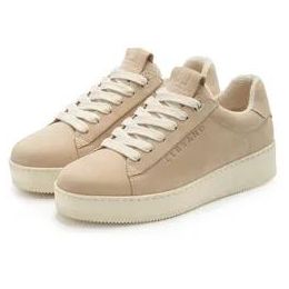 Sneaker ELBSAND "Freizeitschuh, Lederschuh, Ledersneaker, Turnschuh, Schn&uuml;rschuhe", Herren, Gr. 37, beige, Obermaterial: 100% Rindsleder. Decksohle: 100% Textilmaterial. Futter: 100% Textilmaterial. Laufsohle: 100% Synthetik, unifarben, Basic, Schuhe Sneaker, NEU aus Leder mit Plateausohle und austauschbaren Schn&uuml;rsenkeln
