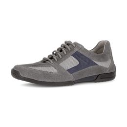 Sneaker Pius Gabor, Herren, Gr. 10,5 (45), grau, blau, Mesh, Veloursleder, Schuhe Sneaker, Freizeitschuh, Halbschuh, Schn&uuml;rschuh mit Kontrastbesatz, G-Weite