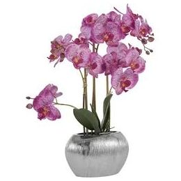 Kunstpflanze Home Affaire "Orchidee", lila, B:20cm H:55cm T:11cm, Keramik, Kunststoff, Polyester, Kunstpflanzen, Kunstpflanze, Kunstorchidee, im Topf
